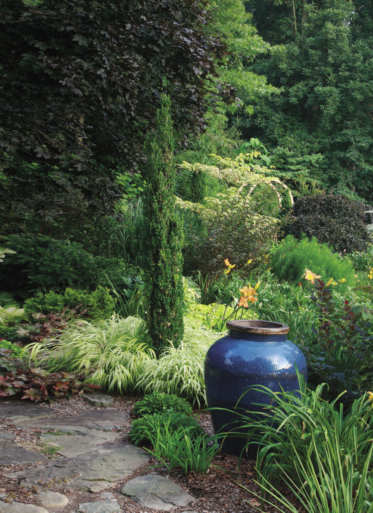 Exciting Vertical Plants That Pack a Punch - Fine Gardening