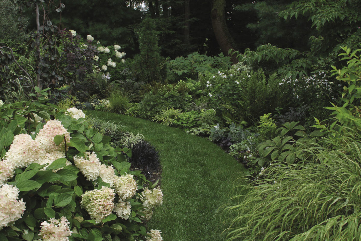 Designing With the Ultimate Color Contrast - Fine Gardening