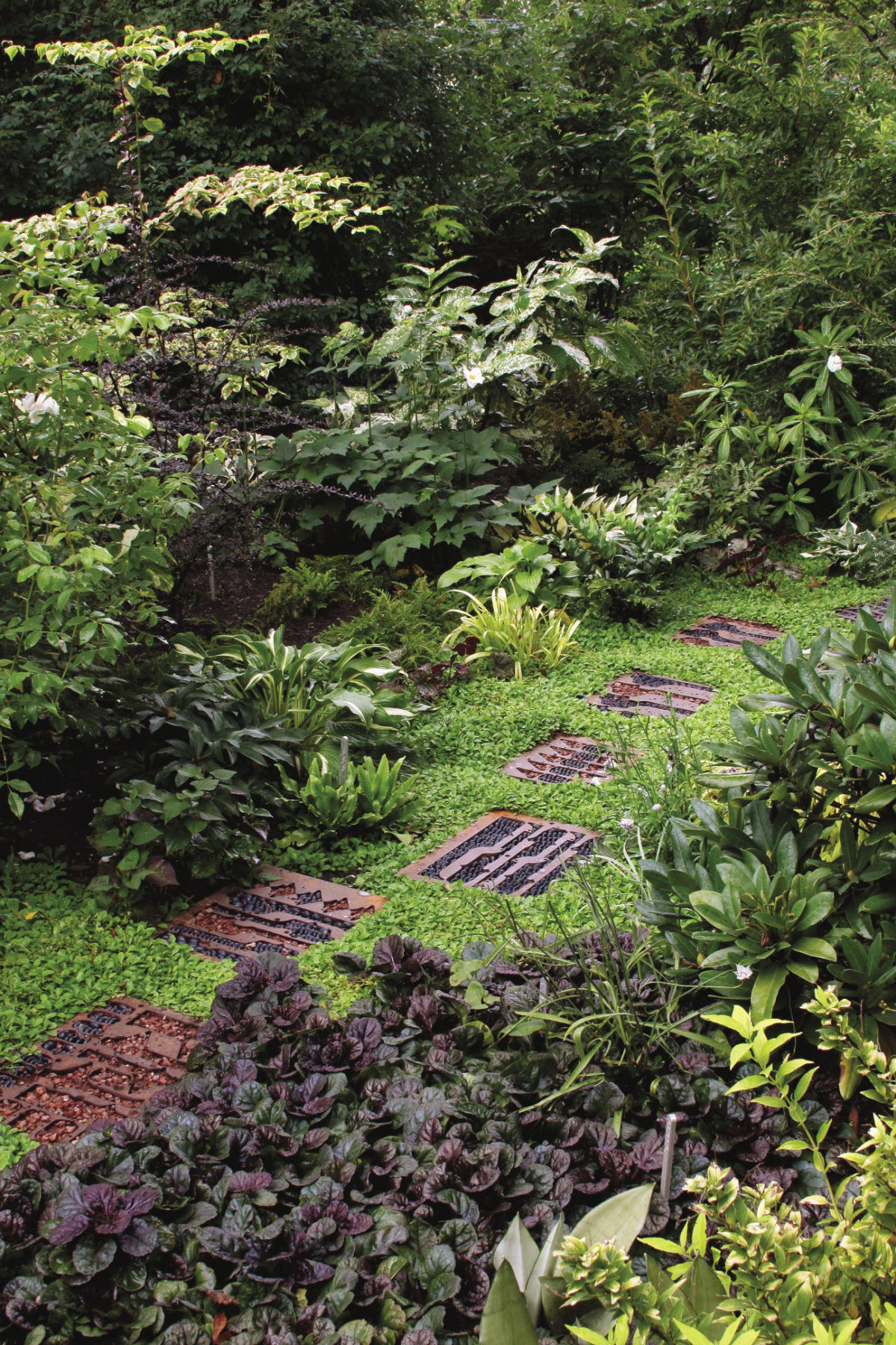 Designing With the Ultimate Color Contrast - Fine Gardening