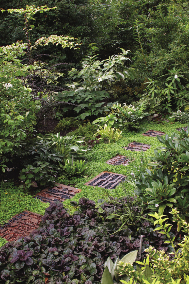 Designing With the Ultimate Color Contrast - Fine Gardening