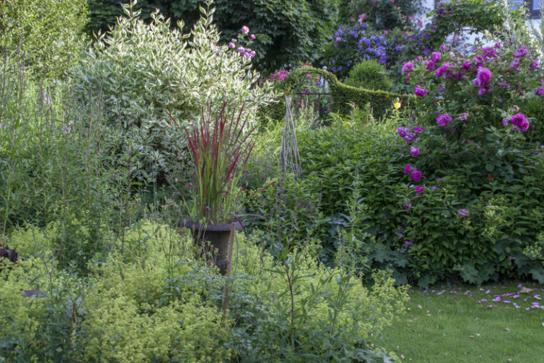 A Romantic Garden in Germany - Fine Gardening