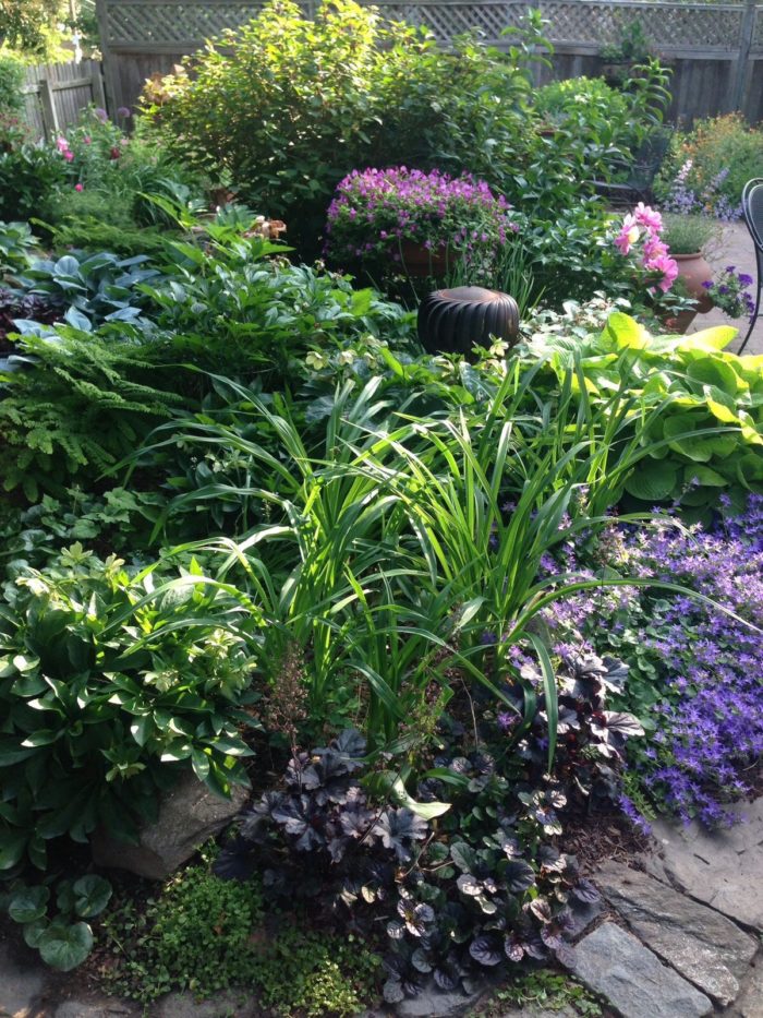 Inspired Plant Combinations - Fine Gardening
