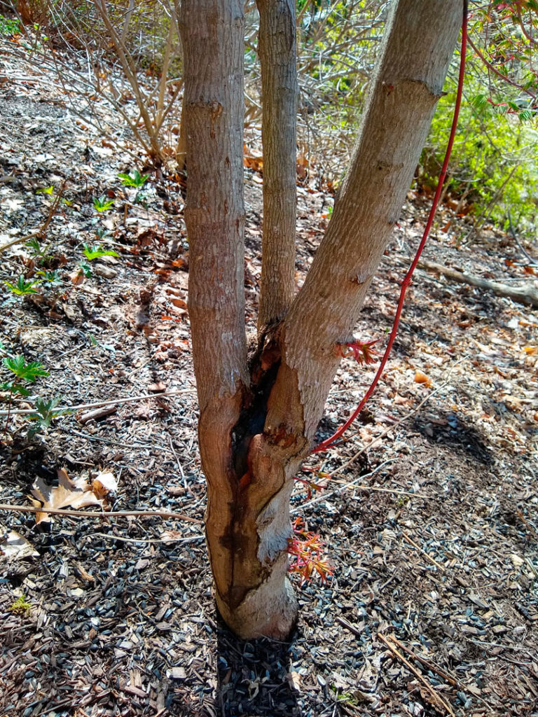 Episode 38: Hard Lessons Learned