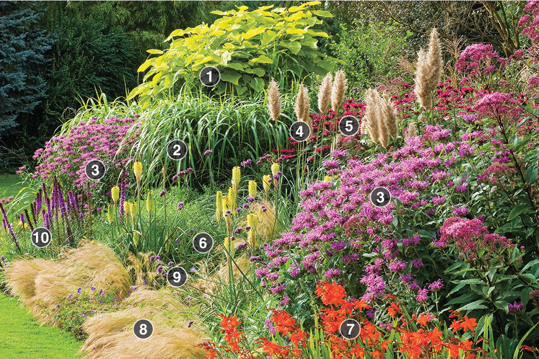 Peak-Season Combos - Fine Gardening