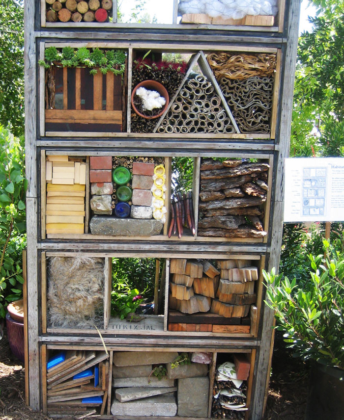 Southern California June Garden To-Do List - Fine Gardening