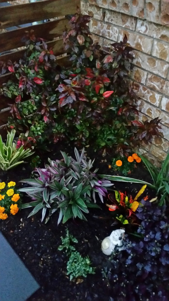 Creating a New Garden From Scratch - Fine Gardening