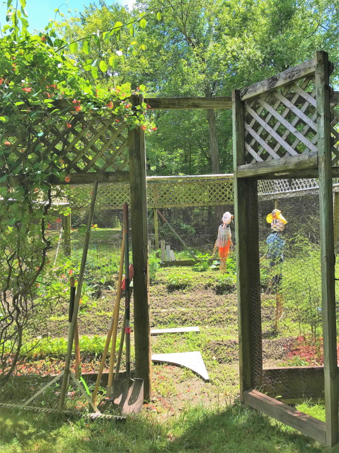 The Best Spring Ever - Fine Gardening