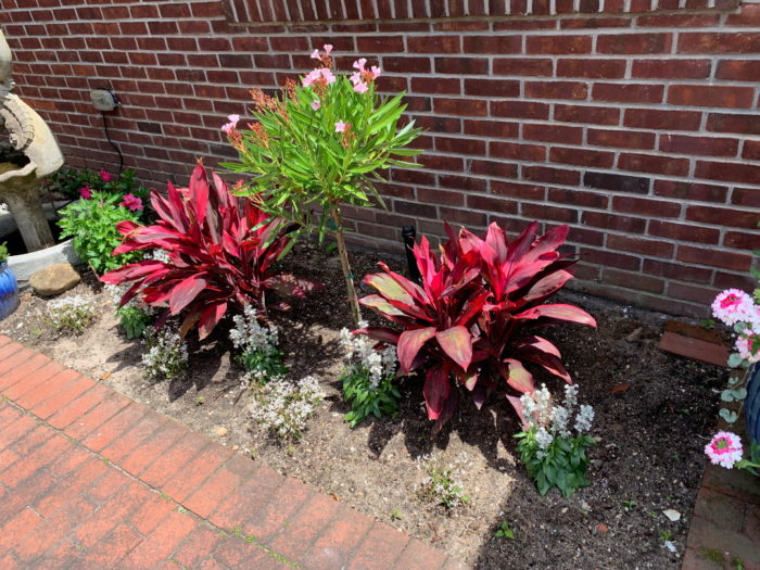 Hurricanes Can't Stop This Garden - Fine Gardening