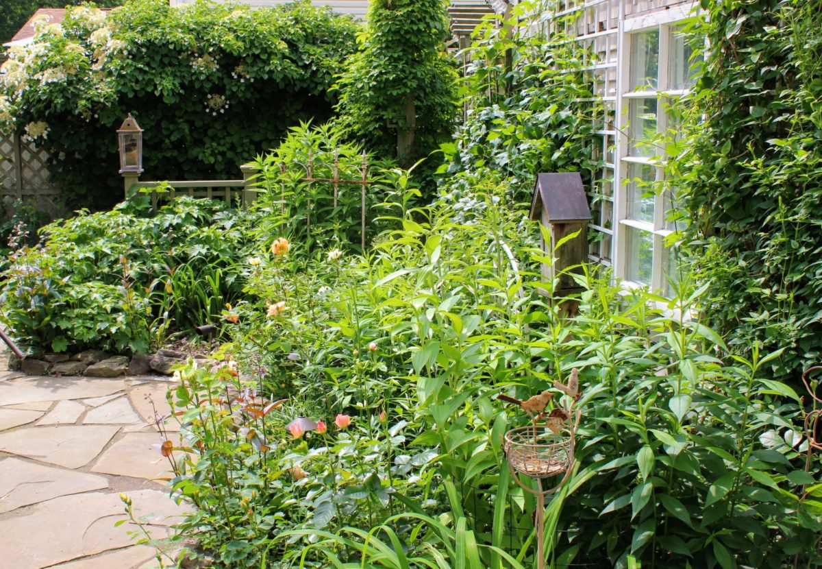 Return to Luana’s Garden - Fine Gardening