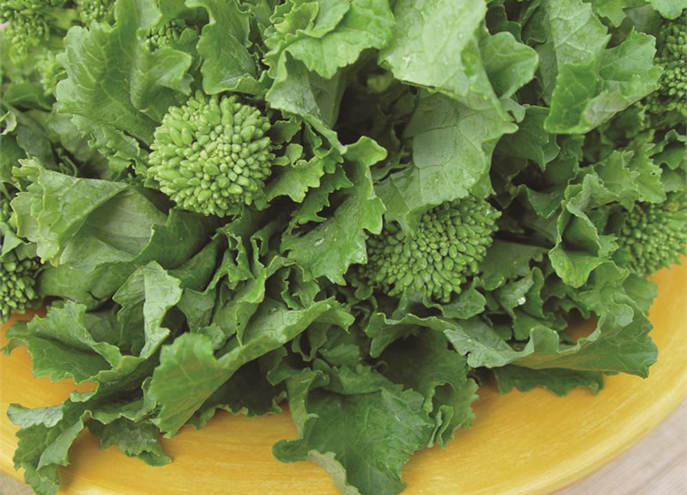 Starting Fall and Winter Vegetables from Seed - Fine Gardening