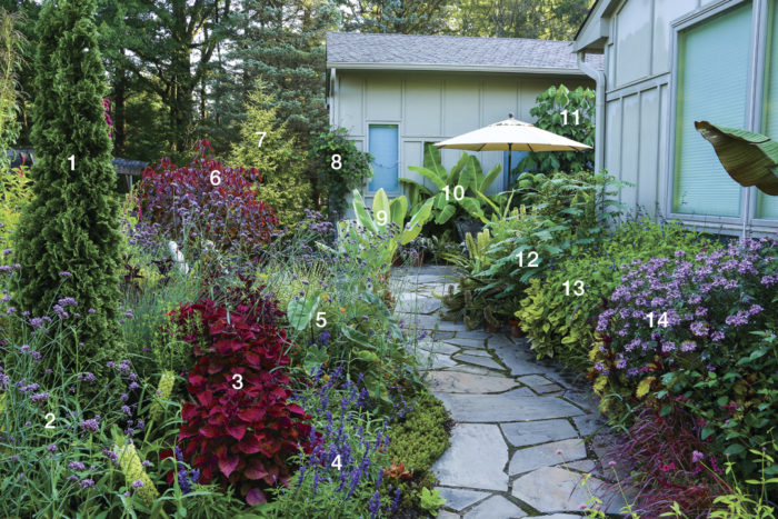 Taming a High Impact Design Planting Plan - Fine Gardening