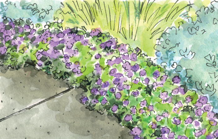 3 Ways to Use Short Plants - Fine Gardening