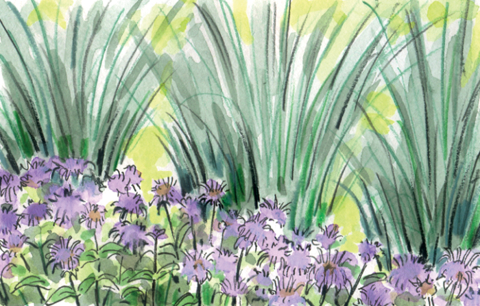 3 Ways to Use Short Plants - Fine Gardening