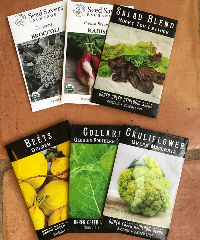 Southern Plains September Garden To-Do List - Fine Gardening