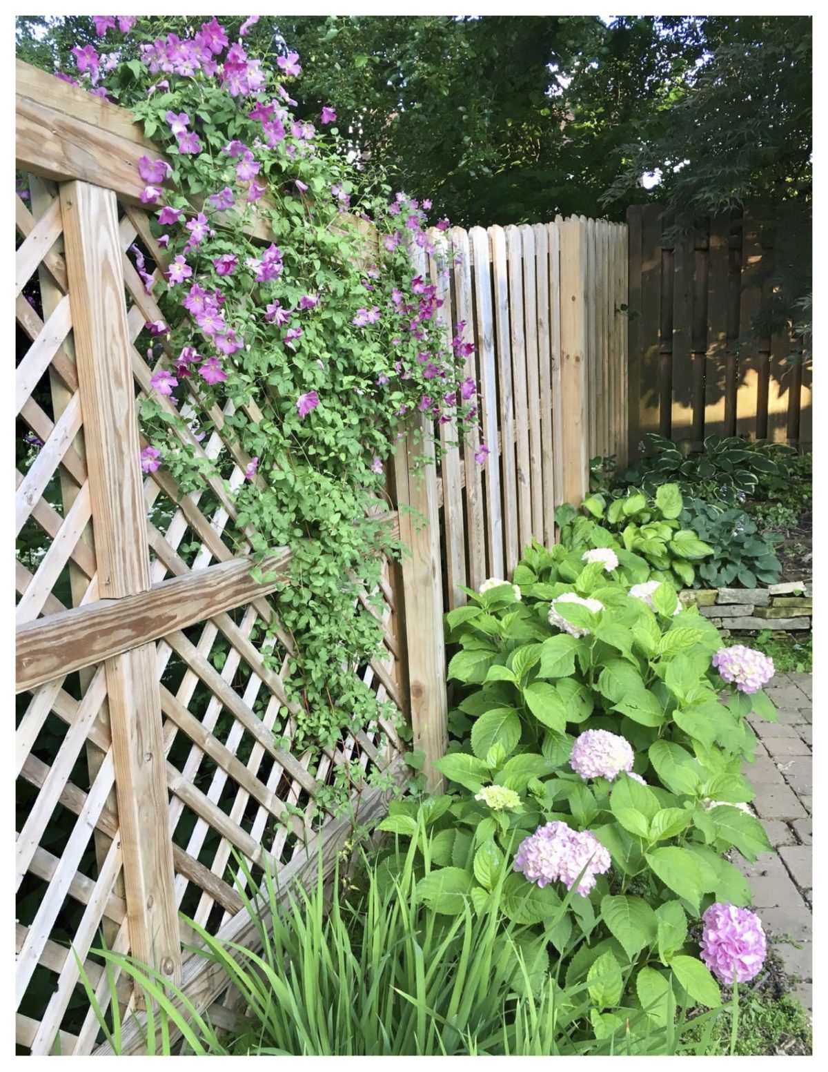 Lessons Learned in 25 Gardening Years - Fine Gardening