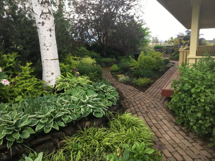 Returning to a Garden After Almost a Decade - Fine Gardening