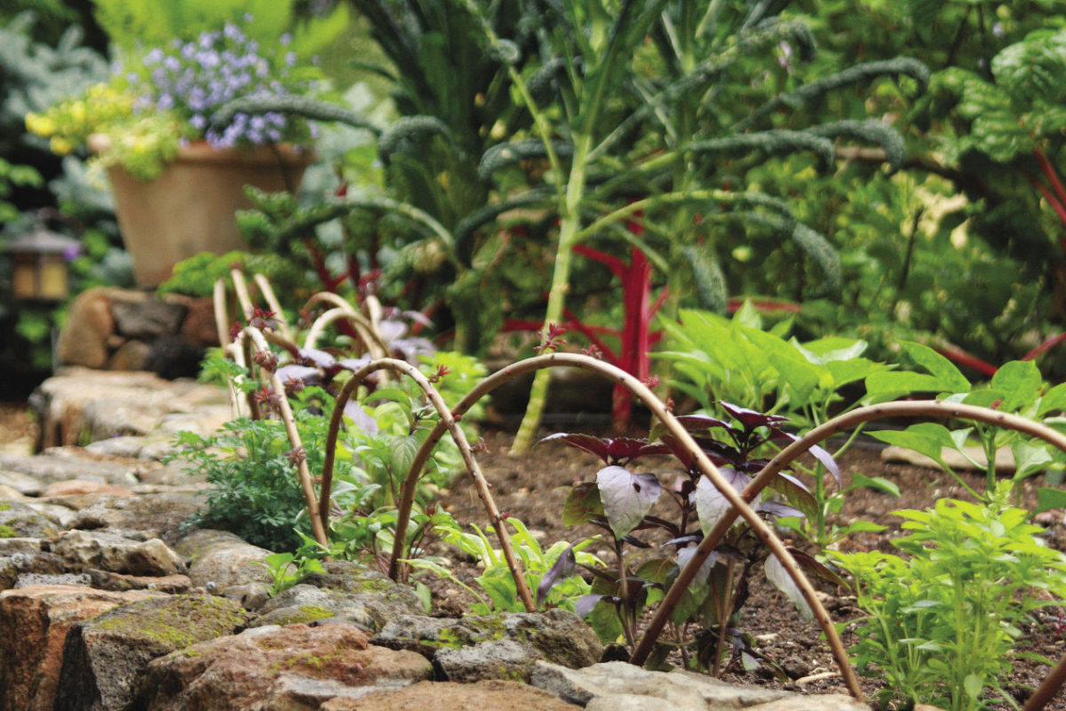 3 Gardens Where the Details Make the Difference - Fine Gardening