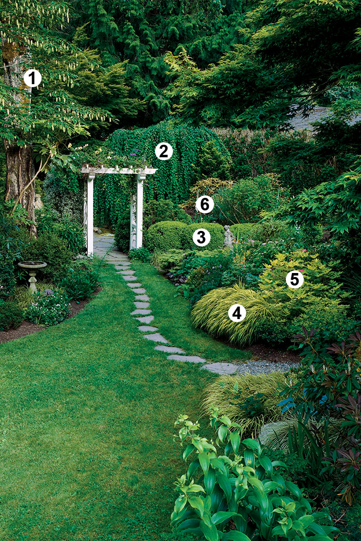 Creating a Beautiful Garden in the Shade - Fine Gardening