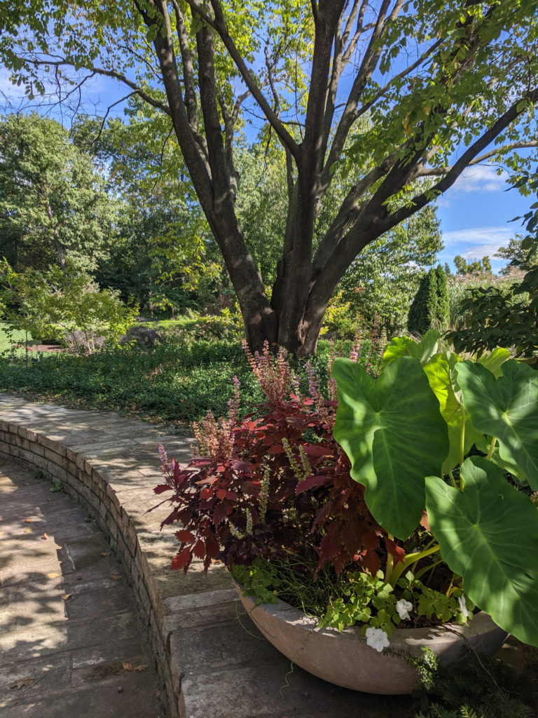 Visiting a Small Botanical Garden - Fine Gardening