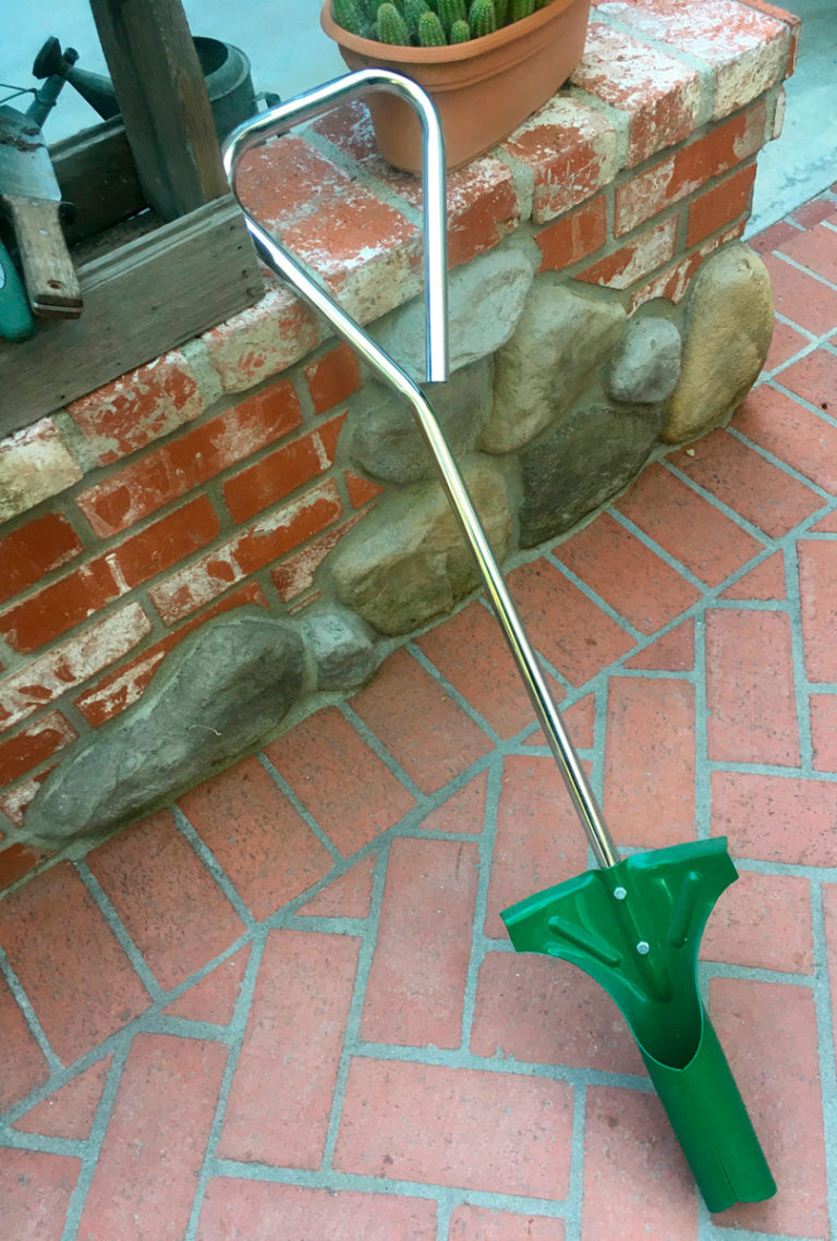 Gardening Gift Ideas for Southern California Gardeners - Fine Gardening