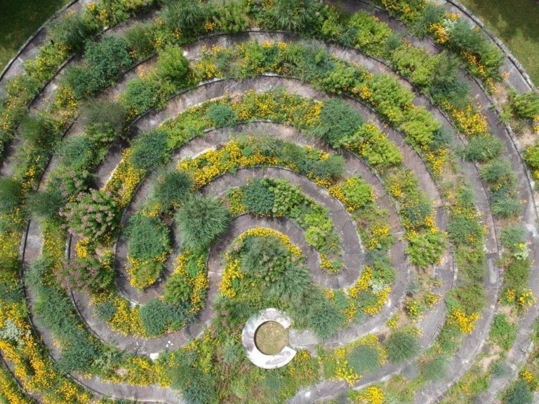 A Wildflower Labyrinth - Fine Gardening