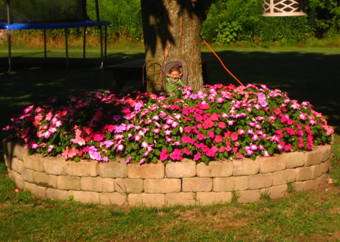From Weeds to Wow in Three Years - Fine Gardening