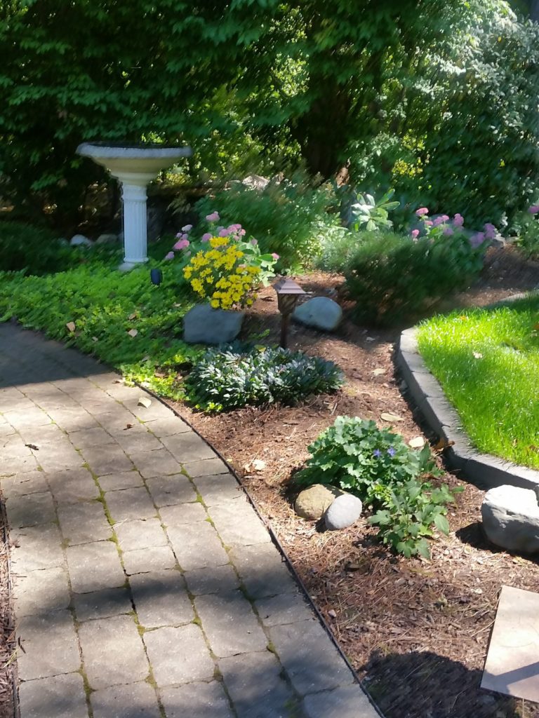 Finding a Garden in a Difficult Time - Fine Gardening