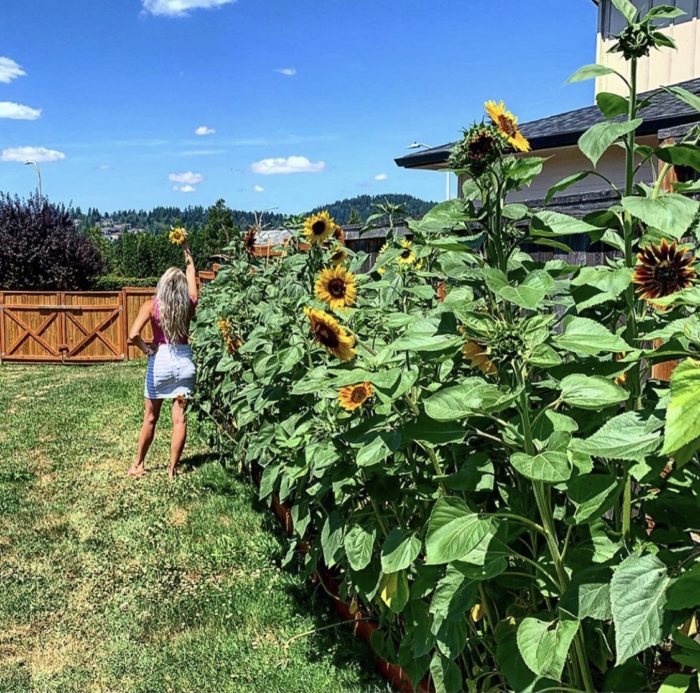 Sharing Gardening Love - Fine Gardening