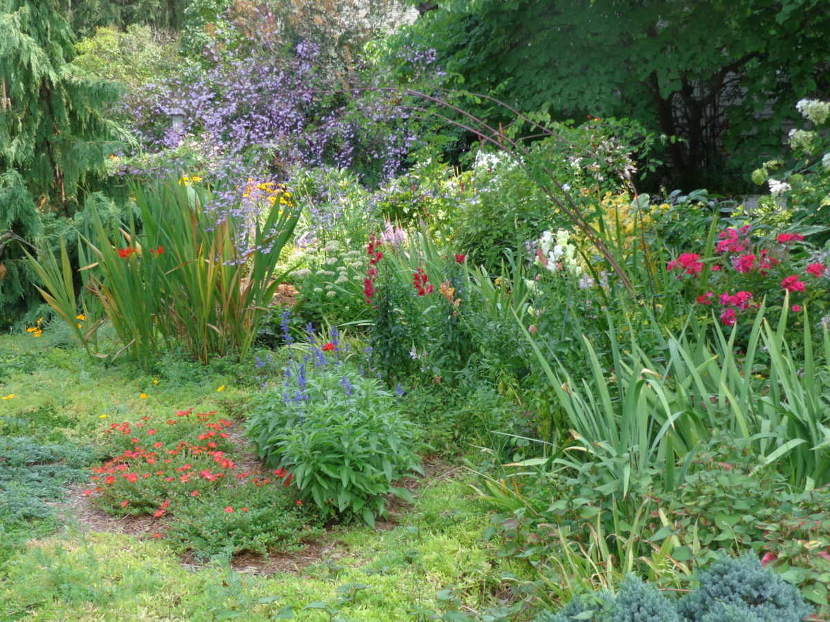 An English-Style Garden in Toronto - Fine Gardening