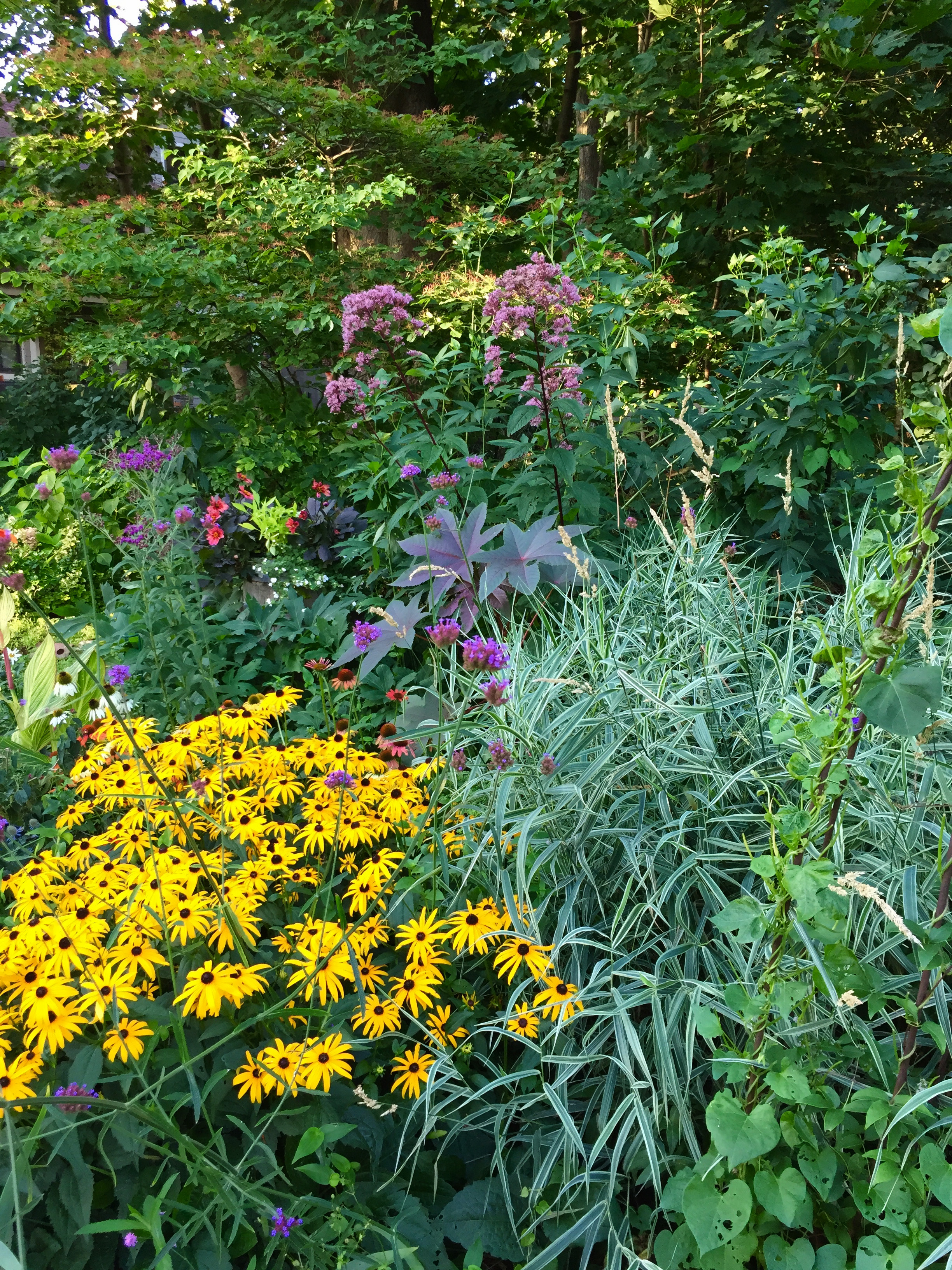 An English-Style Garden in Toronto - Fine Gardening