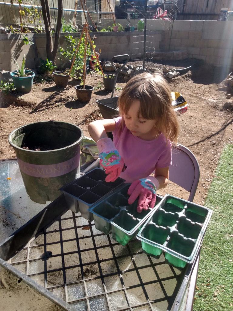 Gardening With a Three-Year-Old Assistant - Fine Gardening