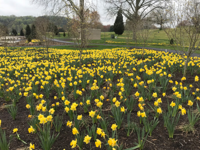 March Garden To-Do List for the South - Fine Gardening