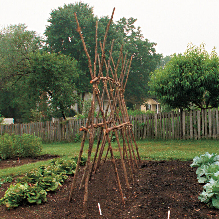 Three Garden Structures You Can Build - Fine Gardening