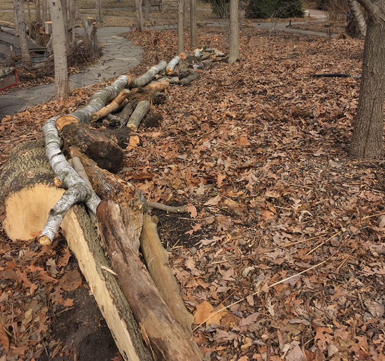 Turn Old Wood Into Useful Garden Structures - Fine Gardening