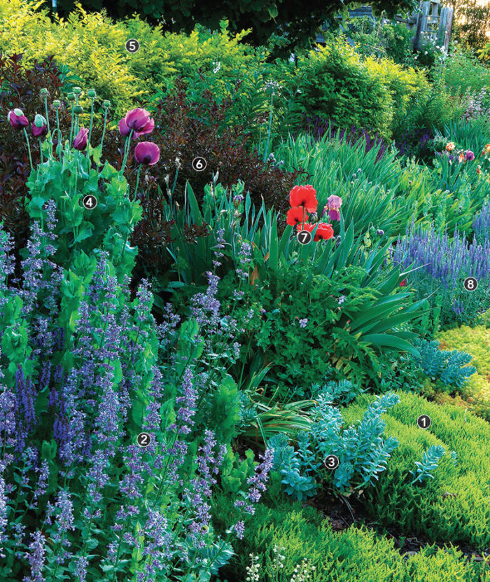 Spring Into Summer: 6 Garden-Bed Designs to Try This Year - Fine Gardening