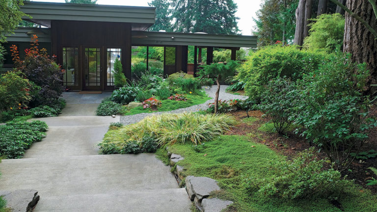 Dry Shade Done Simply - Fine Gardening
