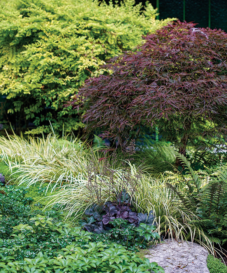 Dry Shade Done Simply - Fine Gardening