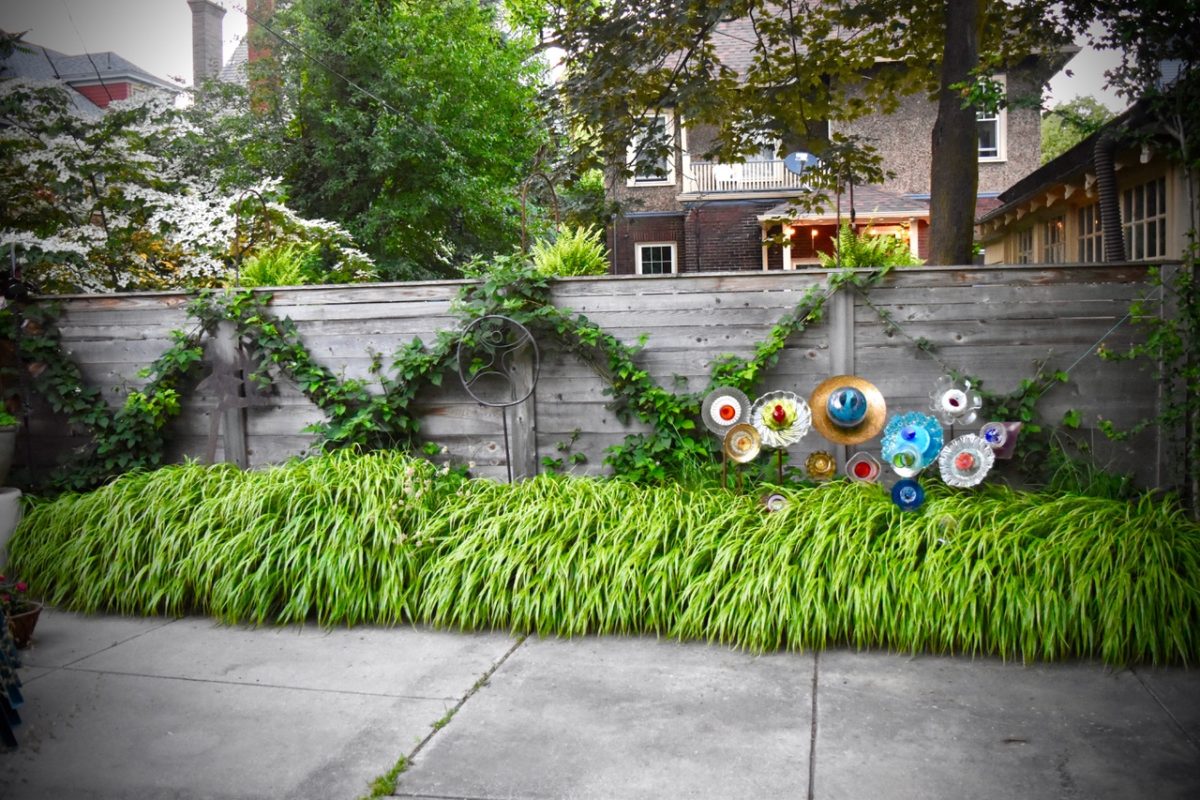 A Buffalo-Style Garden - Fine Gardening