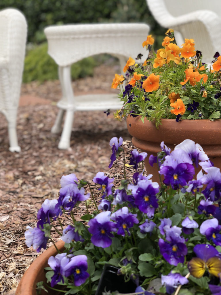 Spring in the Coastal Redwoods - Fine Gardening