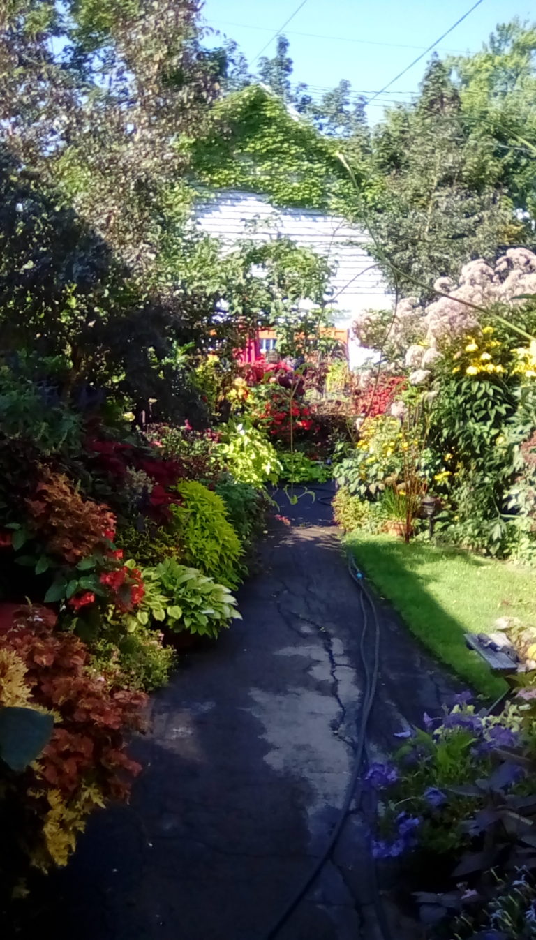 Color-Blind Plant Combinations - Fine Gardening