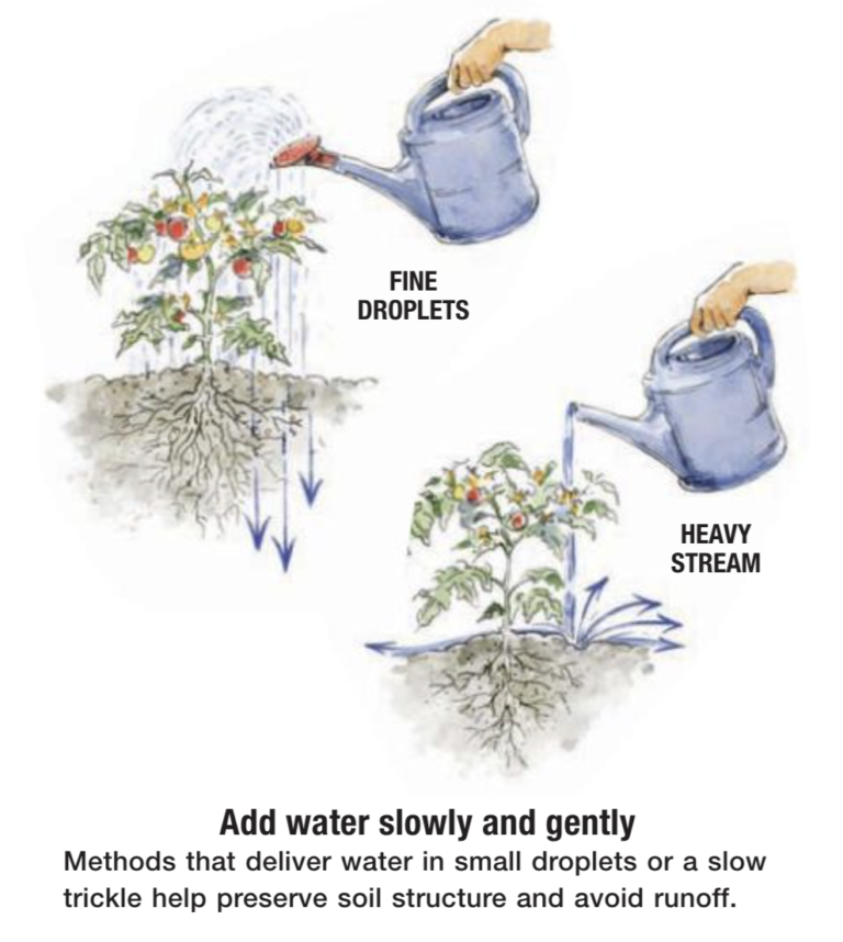 The Art of Watering Your Garden - Fine Gardening