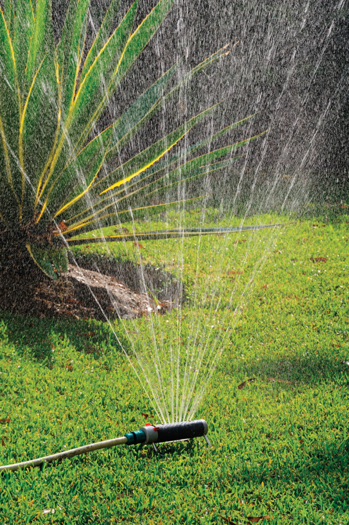 The Art of Watering Your Garden - Fine Gardening