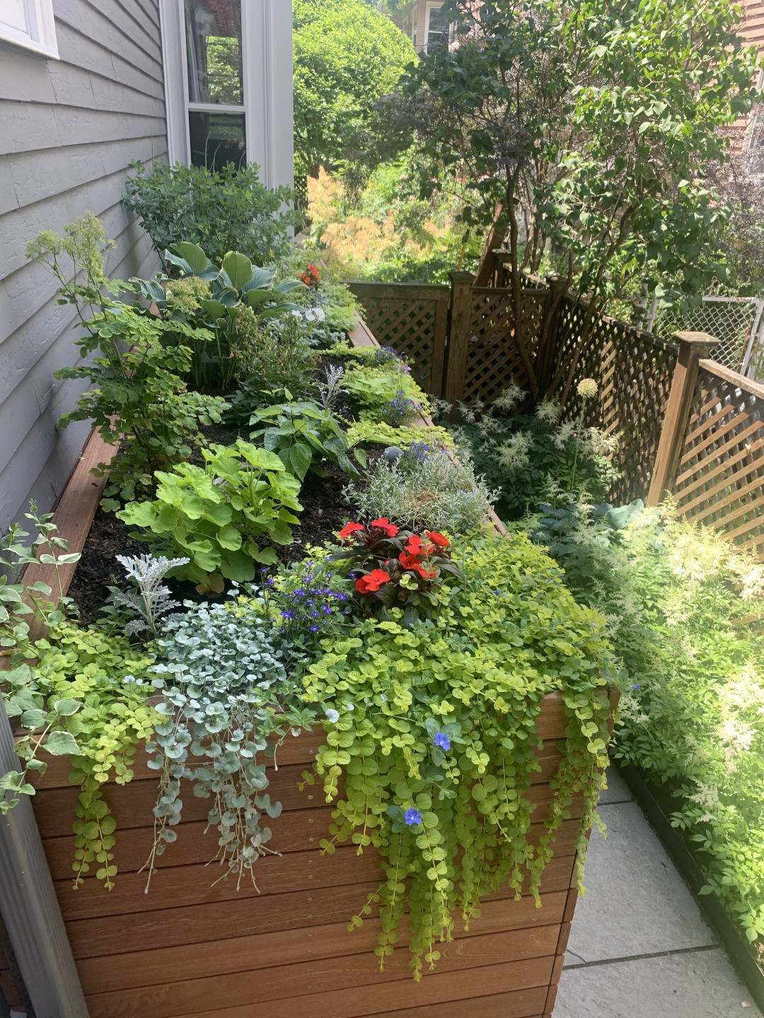 Storage Shed With a Green Roof - Fine Gardening