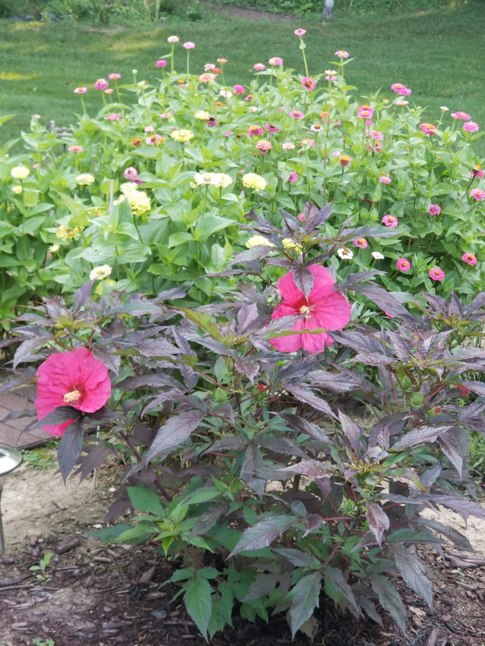 Plant Lover's Garden in Indiana - Fine Gardening