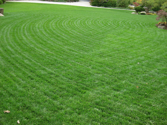 Northern Plains September Garden To-Do List - Fine Gardening