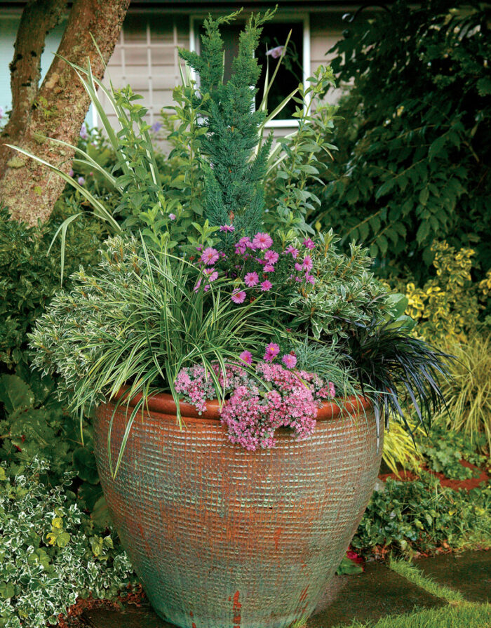 Create Fall Containers With Evergreen Backbones—Planting Plans - Fine ...
