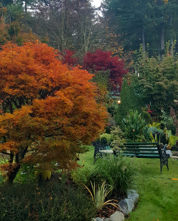 Fall in the Pacific Northwest - Fine Gardening