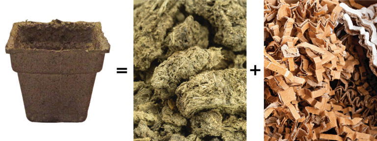 Biodegradable Pots: What You Need to Know - Fine Gardening