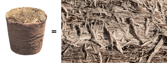 Biodegradable Pots: What You Need to Know - Fine Gardening