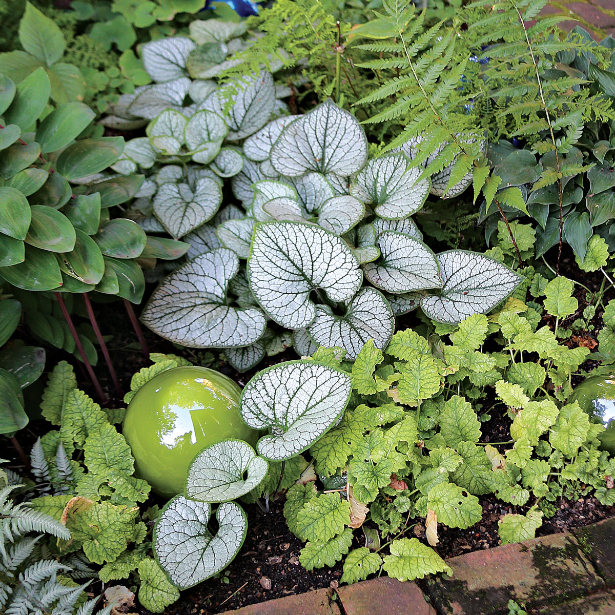 3 Ways To Use Silver to Brighten Your Shade Garden - Fine Gardening